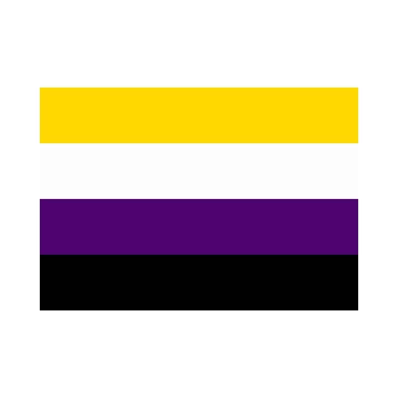 NonBinary Pride Flag Grand Rapids Pride Center