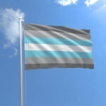 Demiboy Pride Flag - Grand Rapids Pride Center
