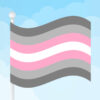 Demigirl Pride Flag - Grand Rapids Pride Center