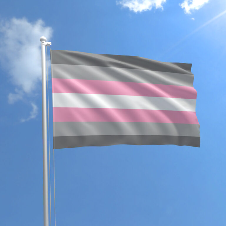 Demigirl Pride Flag - Grand Rapids Pride Center